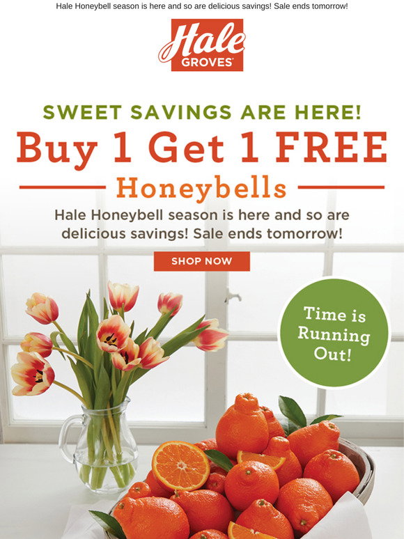 Hale Groves: Buy 1 Get 1 FREE Continues on Honeybells - Sweet Savings ...