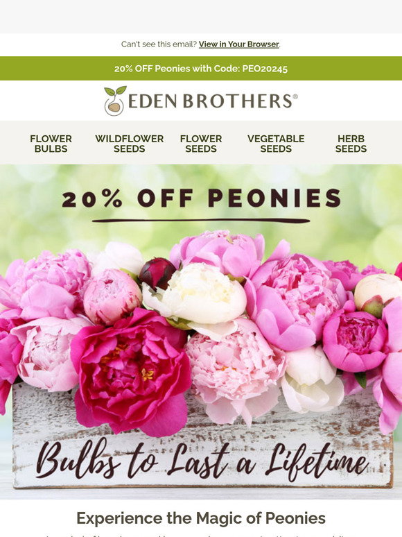 Eden Brothers: Peonies 🌸 20% OFF 🌸 | Milled