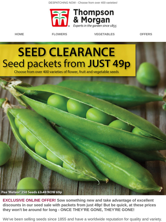 Thompson & Morgan: SEED CLEARANCE - from only 49p a packet! 48 HOURS ...