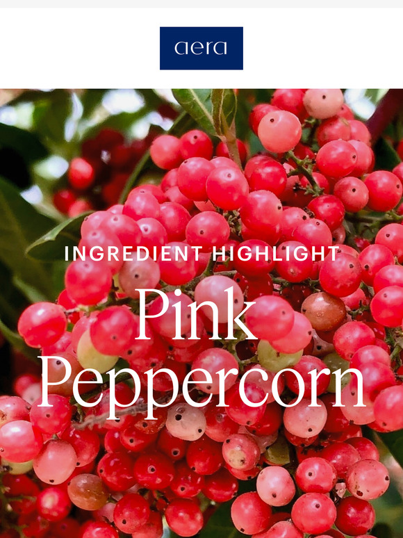 Aera: The origin story of Pink Peppercorn | Milled