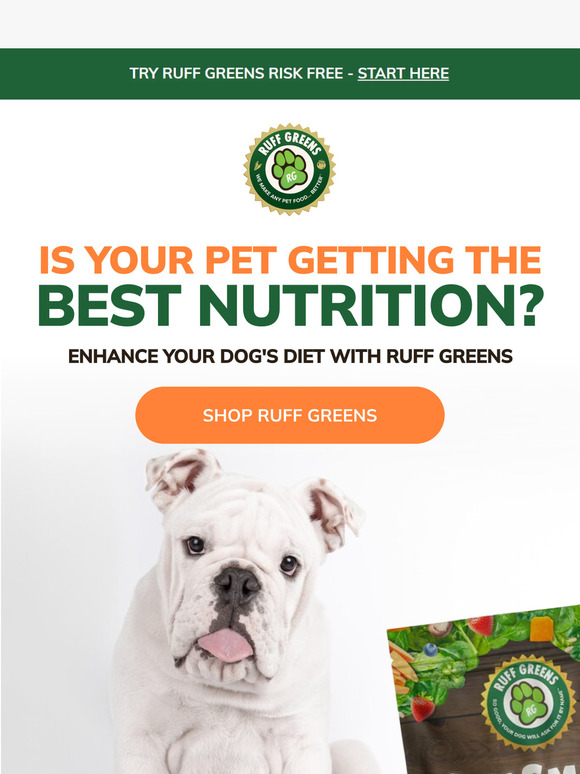 Ruff Greens: Paws & Reflect – Is Your Pet Getting the Best Nutrition ...