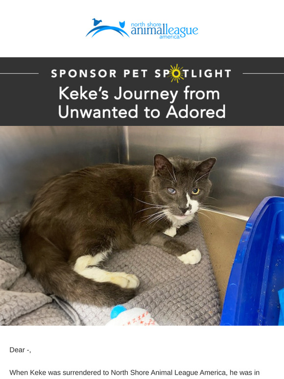 North Shore Animal League: Keke’s Journey from Unwanted to Adored | Milled