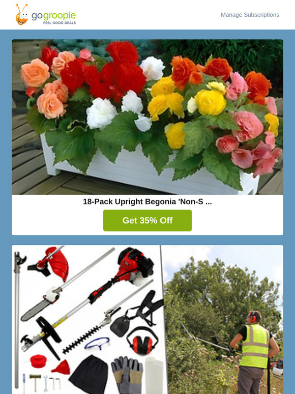 Go Groopie: 👩‍🌾 GIANT GARDEN SALE! 18pk Begonia Plant Mix £12.99, T ...