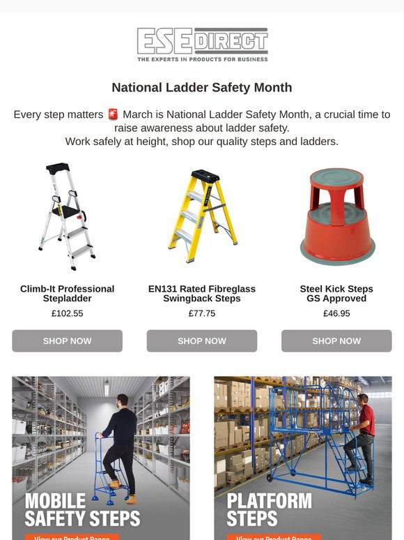 ESE Direct: National Ladder Safety Month - March 2025 | Milled