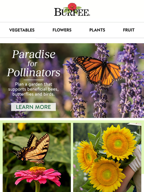Burpee: It's the year of the pollinator garden 🐝 | Milled