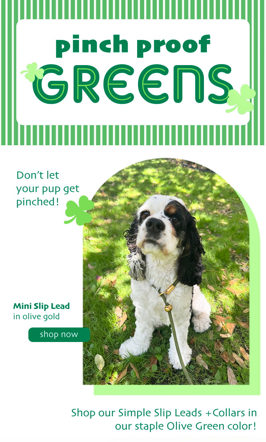 Bubble & Spike: Pinch proof greens 🍀 | Milled