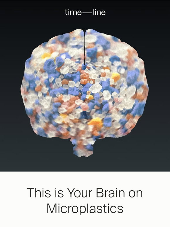 Timeline Nutrition: A spoonful of microplastics in your brain? | Milled