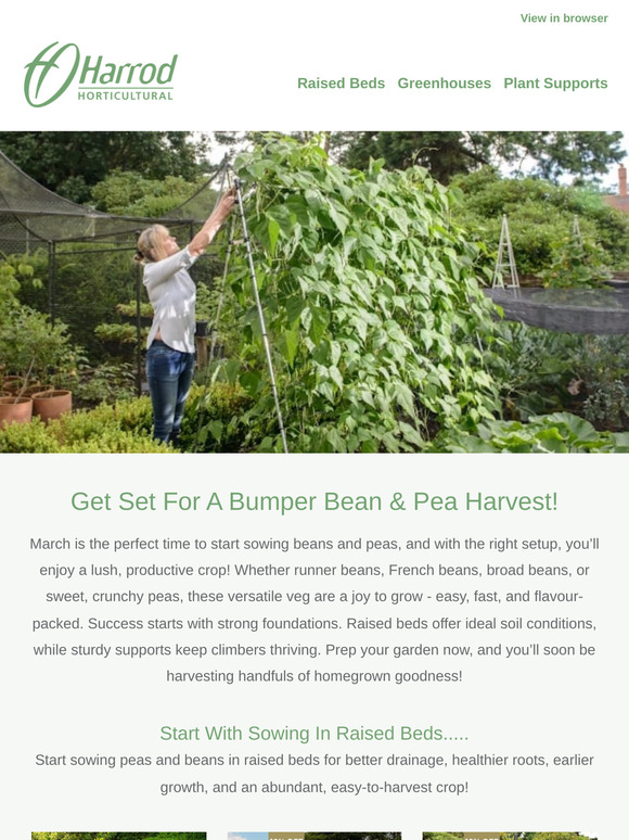 Harrod Horticultural: Spring is the perfect time to grow peas & beans ...
