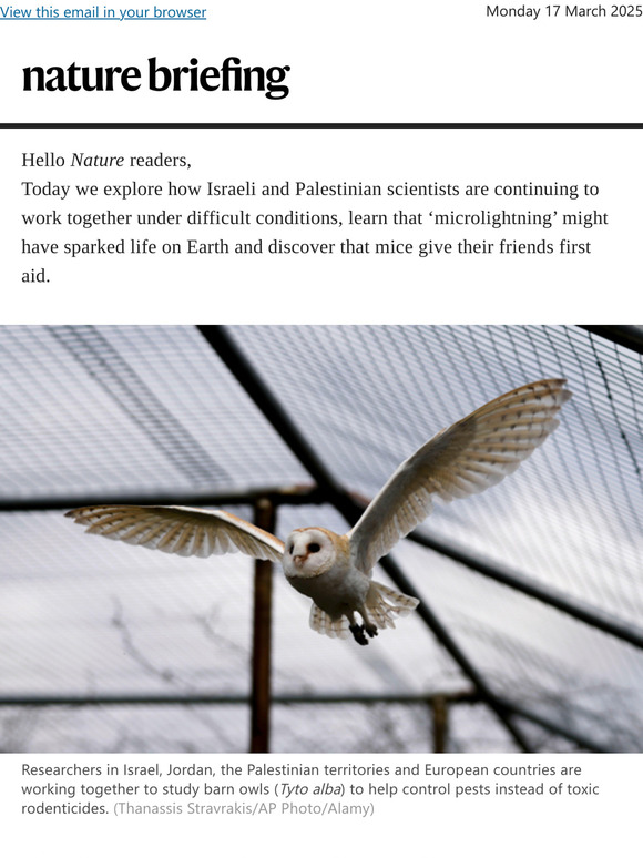 Nature: Mouse-to-mouse resuscitation: mice give unconscious friends ...