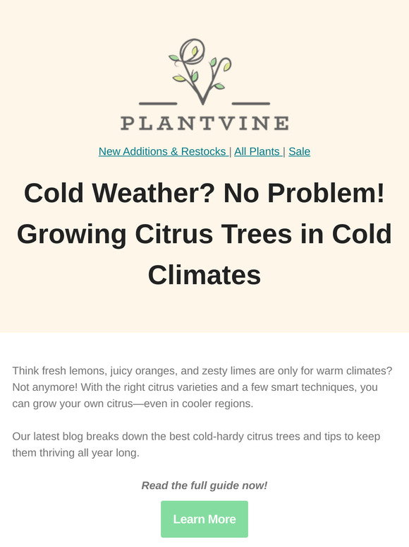 PlantVine: Your Ultimate Guide to Growing Citrus in Cold Climates ...