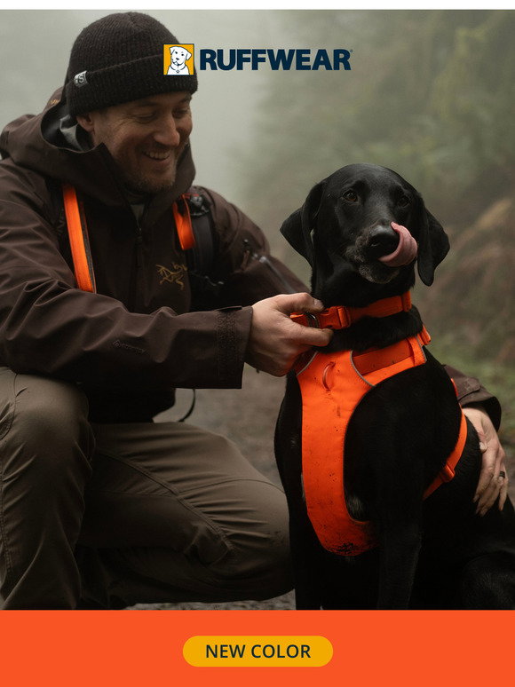 Ruffwear: NEW! The Iconic Front Range™ in a Bold New Color 🟠 | Milled