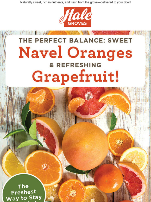 Hale Groves: The Perfect Balance – Sweet Navel Oranges & Refreshing ...