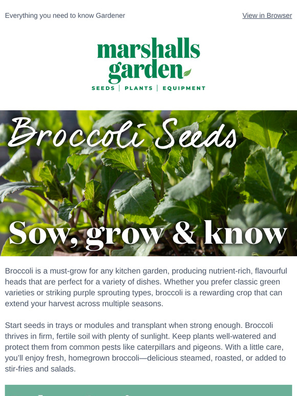 Birds & Bees: Sow, Grow & Know: Your Guide to Broccoli | Milled