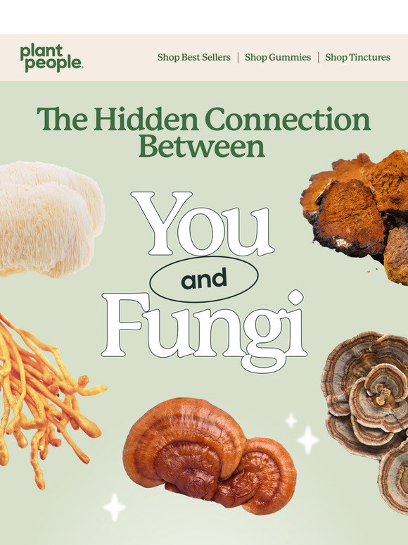 Plant People: Fungi share more DNA with humans than plants | Milled