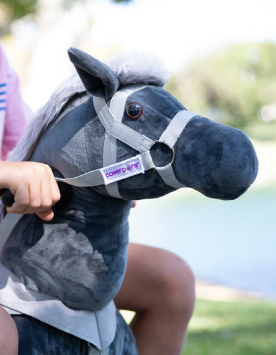 Power Pony: Why kids LOVE the Power Pony | Milled