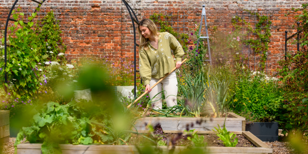 Harrod Horticultural: Celebrate Spring: with FREE DELIVERY | Milled