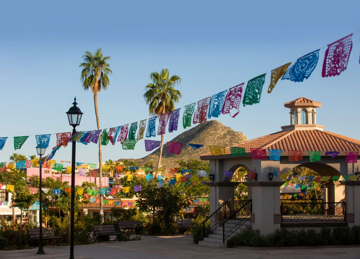 Cancun Adventures: Discover Unmissable Cabo Adventures This Year! | Milled