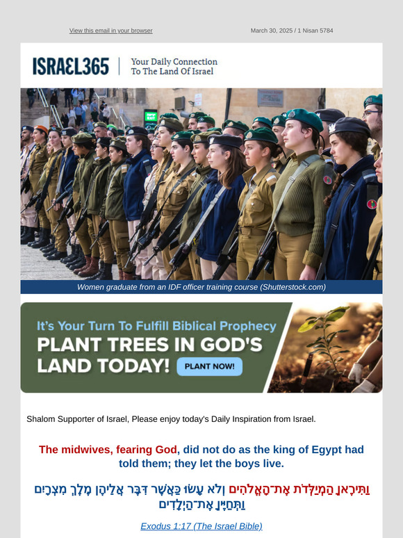 The Israel Bible: Midwives, Mothers, and Mutineers: The Women Who ...