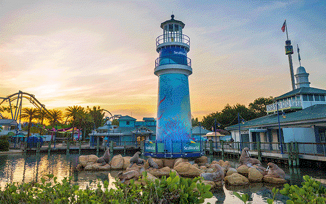 SeaWorld: 🎉 Vote Now: Help Us Win Three Big Awards! 🏆 | Milled