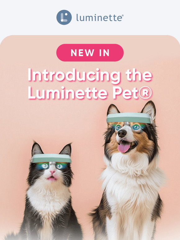 Luminette: NEW! Meet the Luminette Pet® 🐈 Light up your pet’s life ...