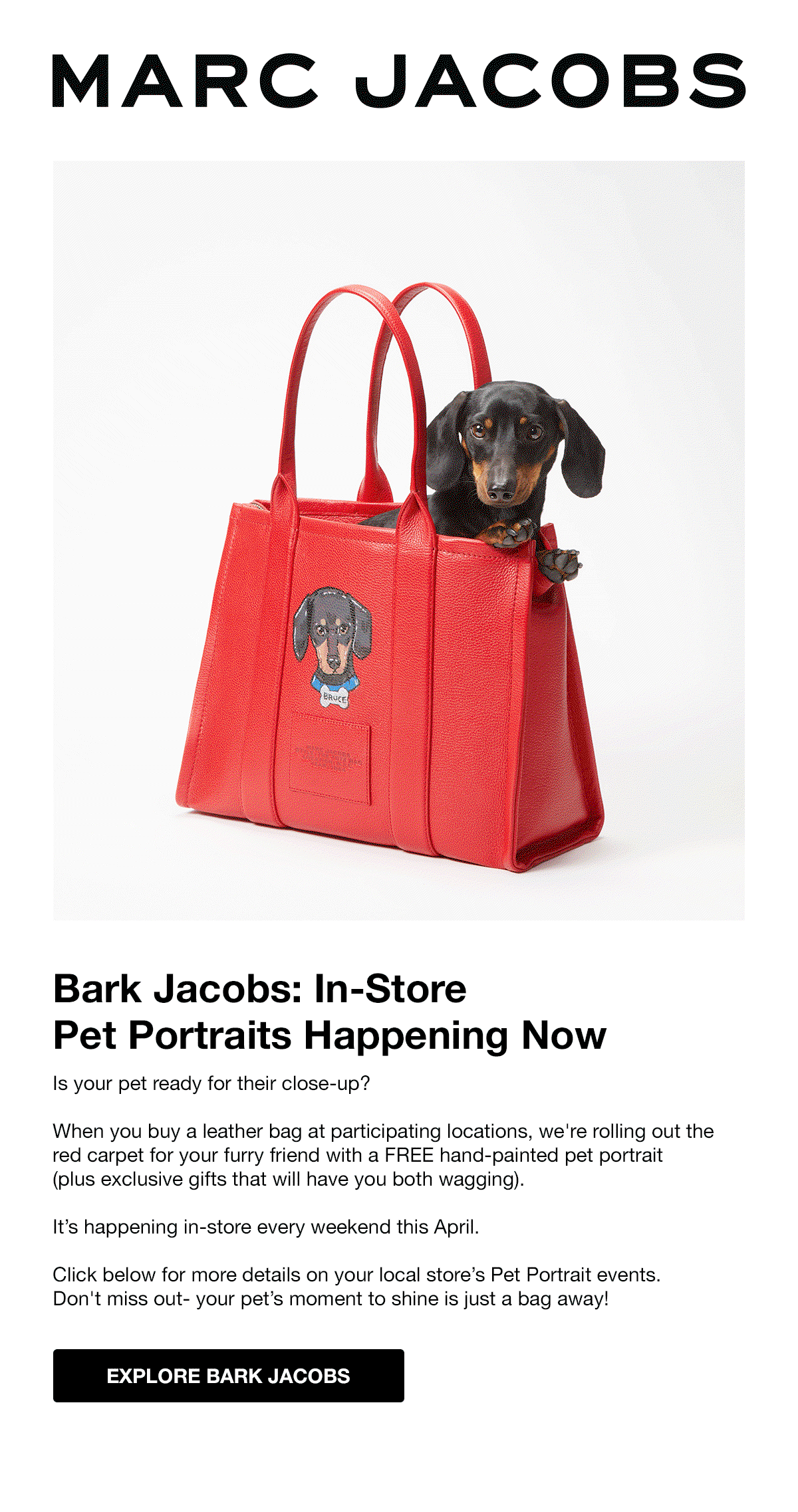 Marc Jacobs: Complimentary Hand-Painted Pet Portraits 🐾 | Milled