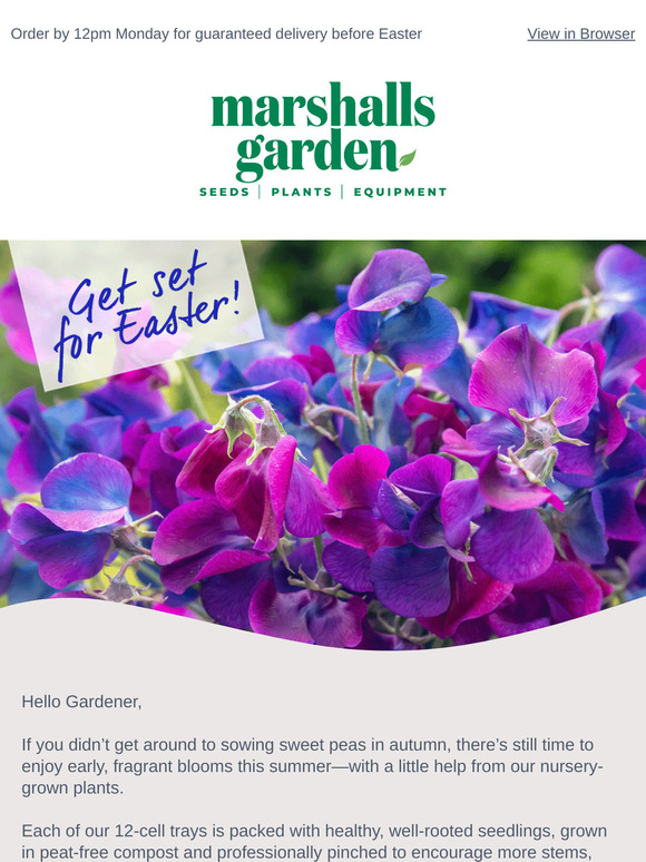 Marshalls Seeds: Get Set For Easter With 25% Off Sweet Peas | Milled