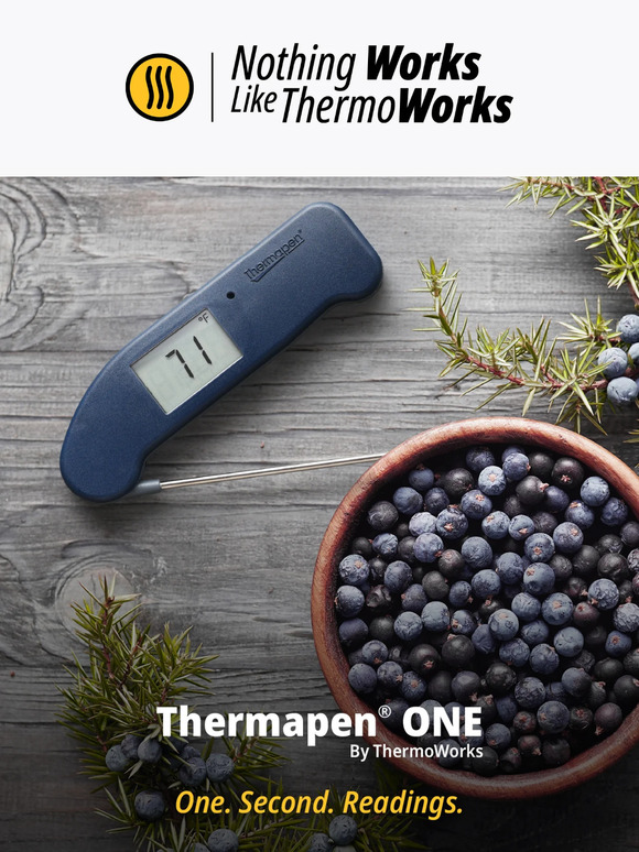 ThermoWorks: 🫐🌱New Limited Edition Thermapen ONE Color | Milled