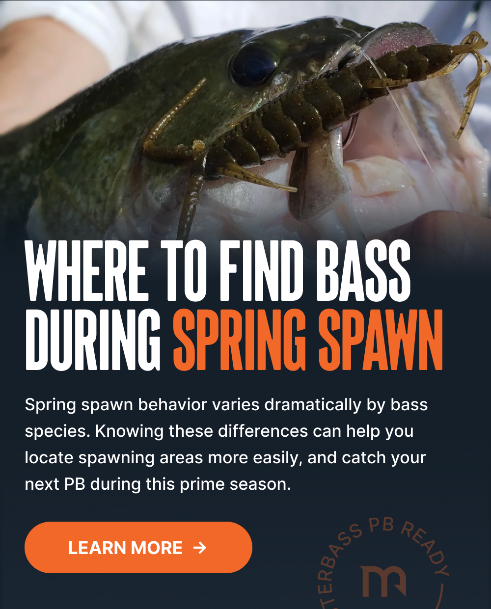 MonsterBass: Where to Find Bass During Spring Spawn | Milled