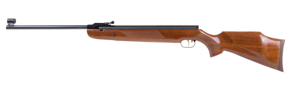 Pyramyd Air: The Best Air Rifles of 2025... So Far | Milled