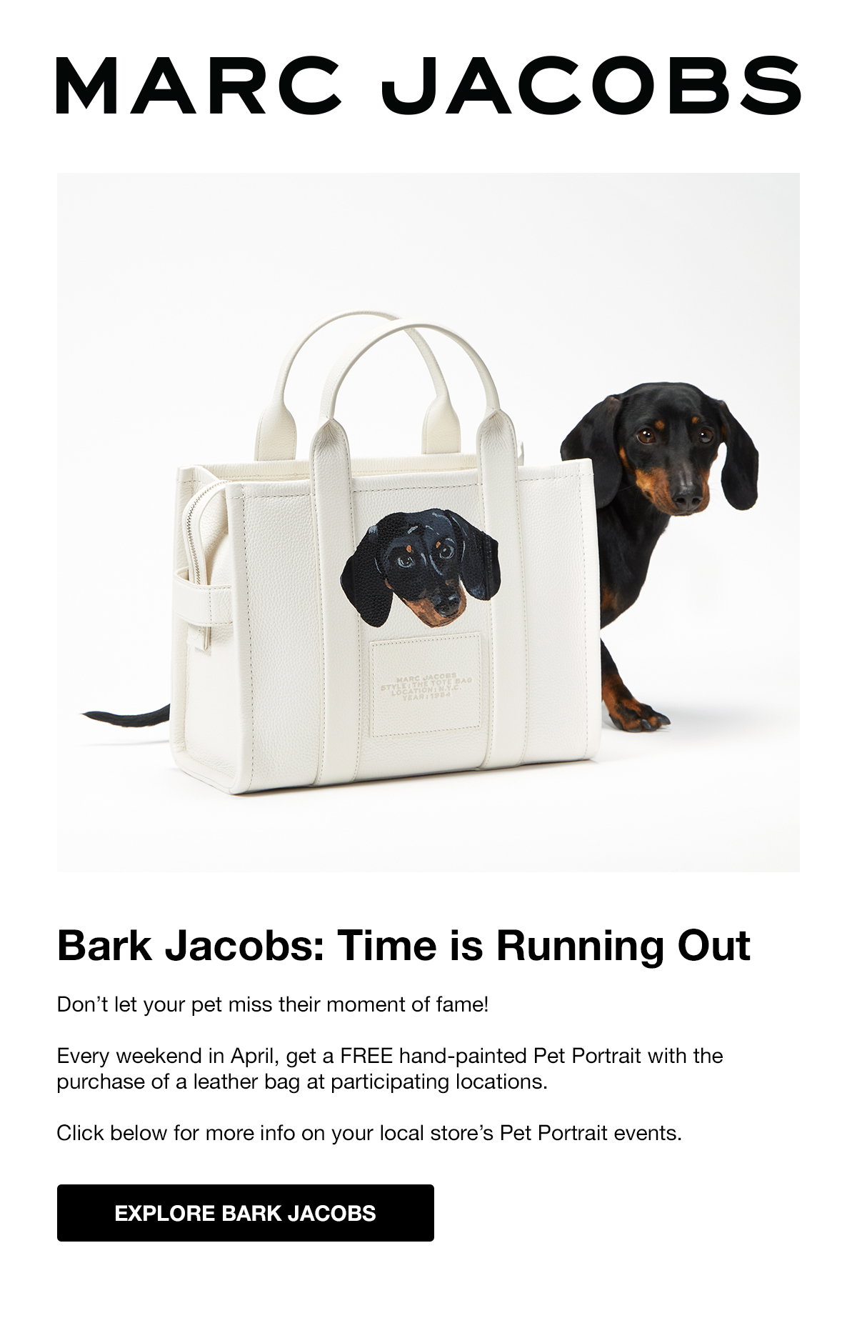 Marc Jacobs: Ending Soon: Complimentary Pet Portraits 🐾 | Milled