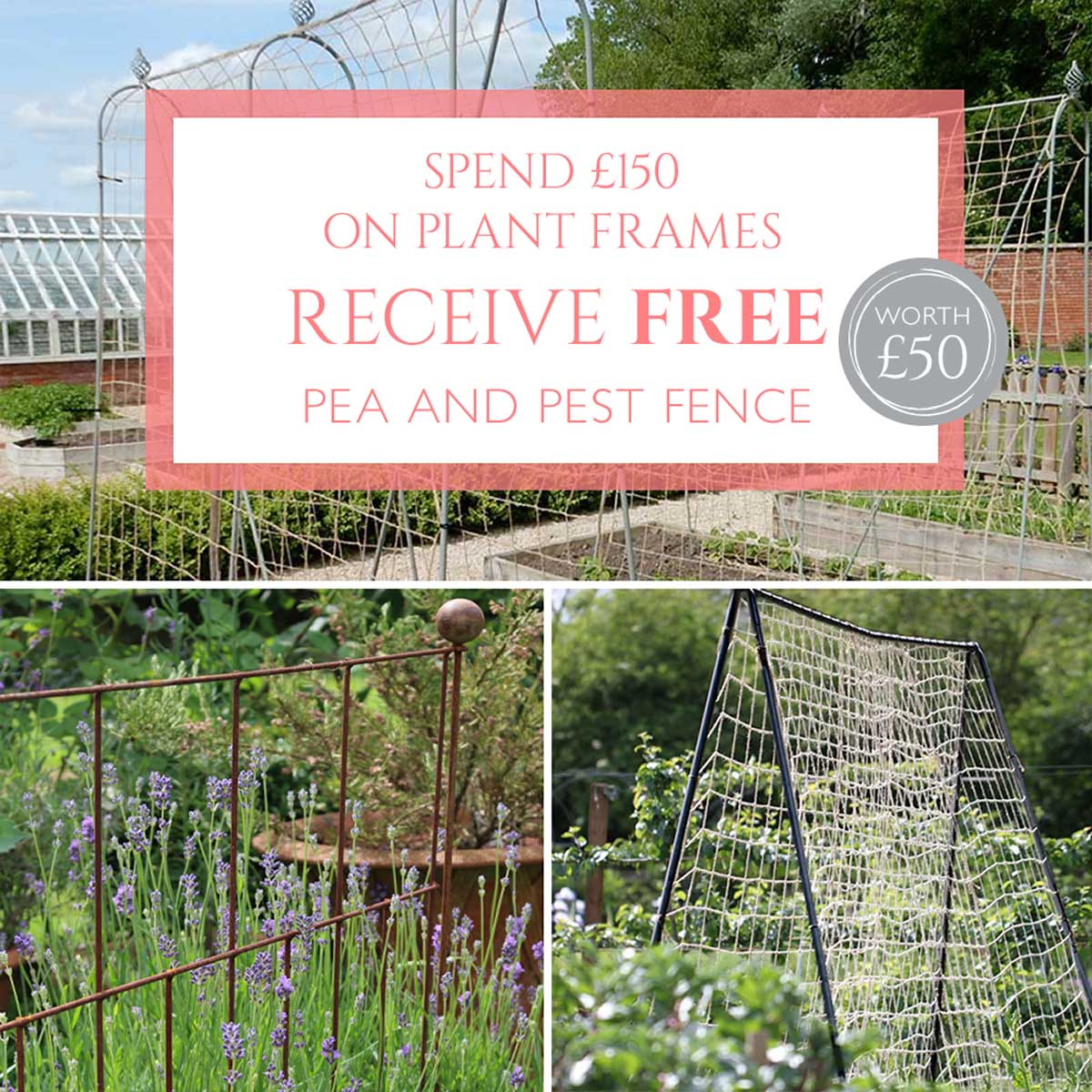 Agriframes: FREE Pea & Pest Fence when you Spend £150 on our Plant ...