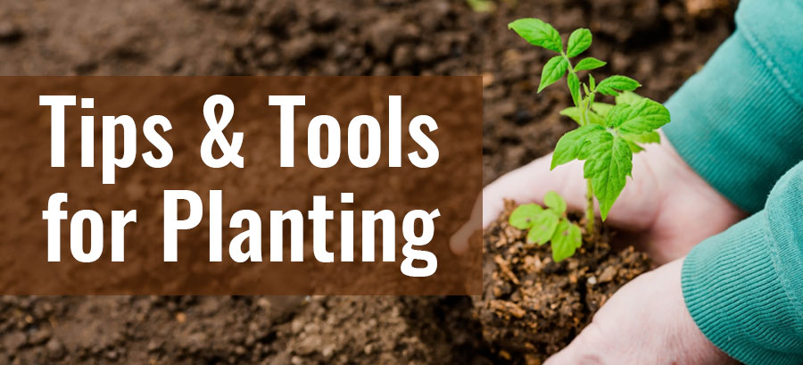 Lehman's: Tips and Tools for Planting Your Garden 🌱 | Milled