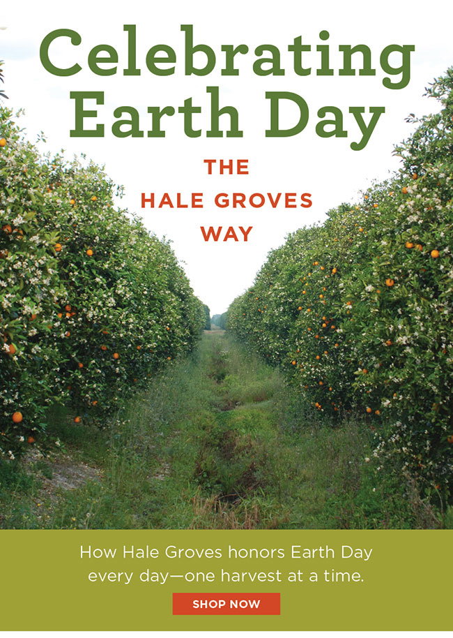 Hale Groves: Celebrating Earth Day, the Hale Groves Way 🍊 | Milled