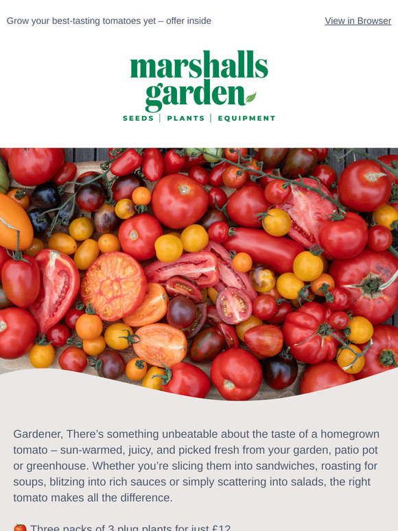 Marshalls Seeds: Pick your perfect tomato trio – 3 for £12! 🍅 | Milled