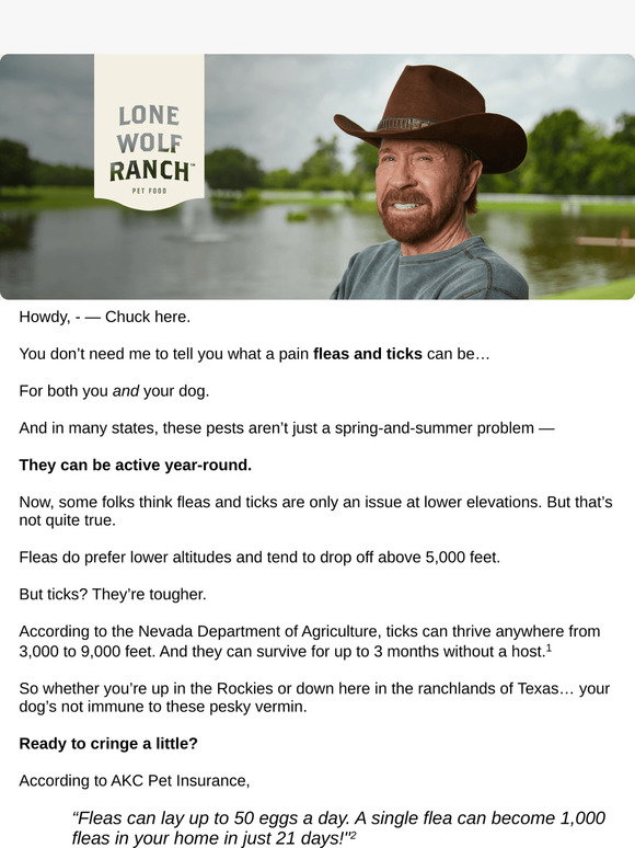 Lone Wolf Ranch: Fleas vs. Chuck Norris (Spoiler Alert: Chuck Wins ...