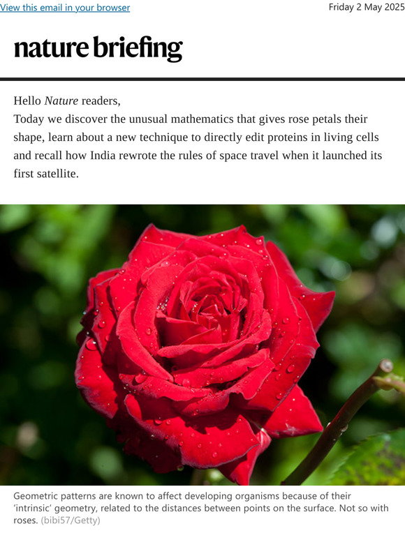 Nature: The unusual mathematics that gives rose petals their shape | Milled