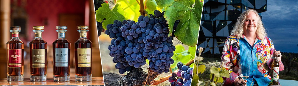 Watson's Wine: What's new in May 2025? | Milled