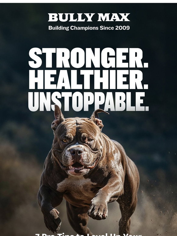 Bully Max: Top Tips to Bulk Up Your Dog Safely 💪 | Milled