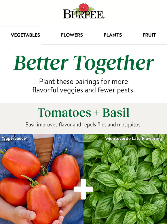 Burpee: Dynamic plant duos | Milled