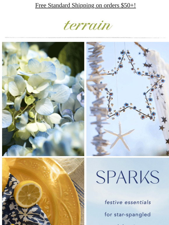 Terrain: Sparks fly! Spirited party decor + more 🎆 | Milled