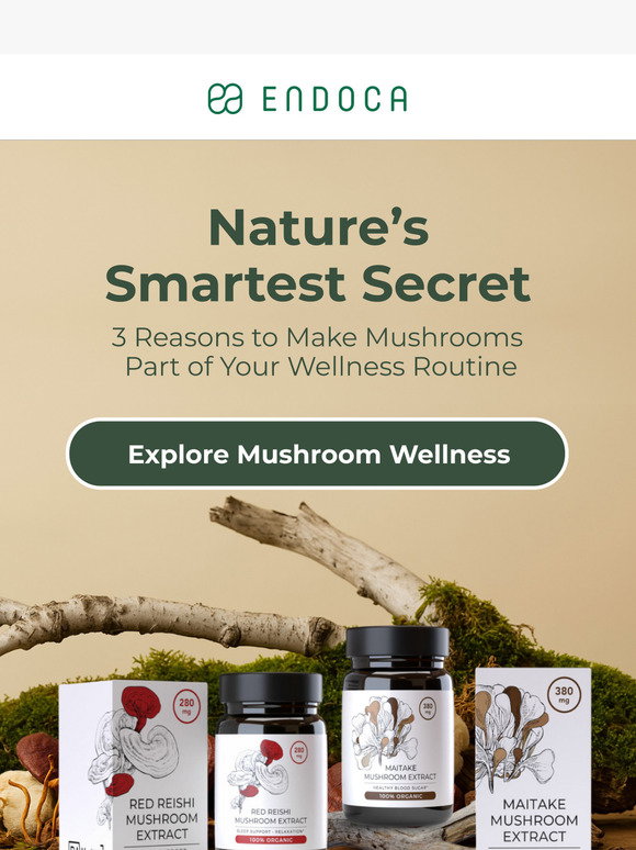 Endoca: 🍄 3 Reasons to Add Mushrooms to Your Wellness Routine | Milled
