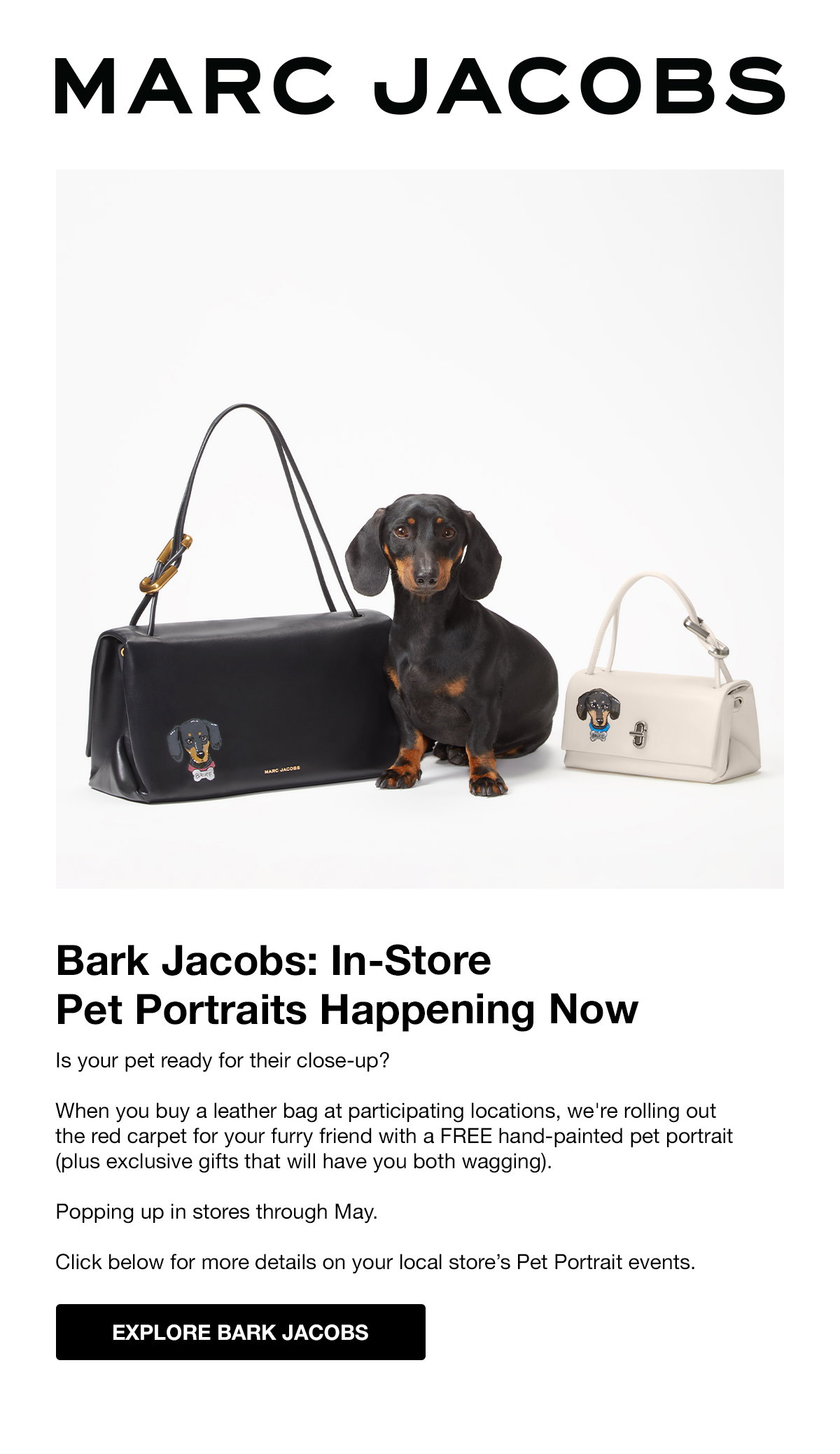 Marc Jacobs: Complimentary Hand-Painted Pet Portraits 🐾 | Milled