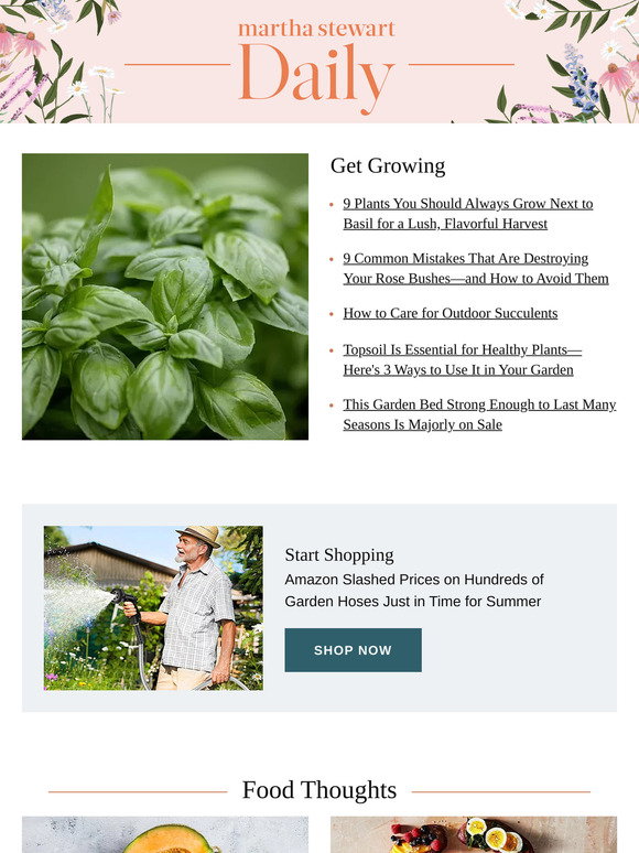 Martha Stewart: 9 Plants You Should Always Grow Next to Basil | Milled