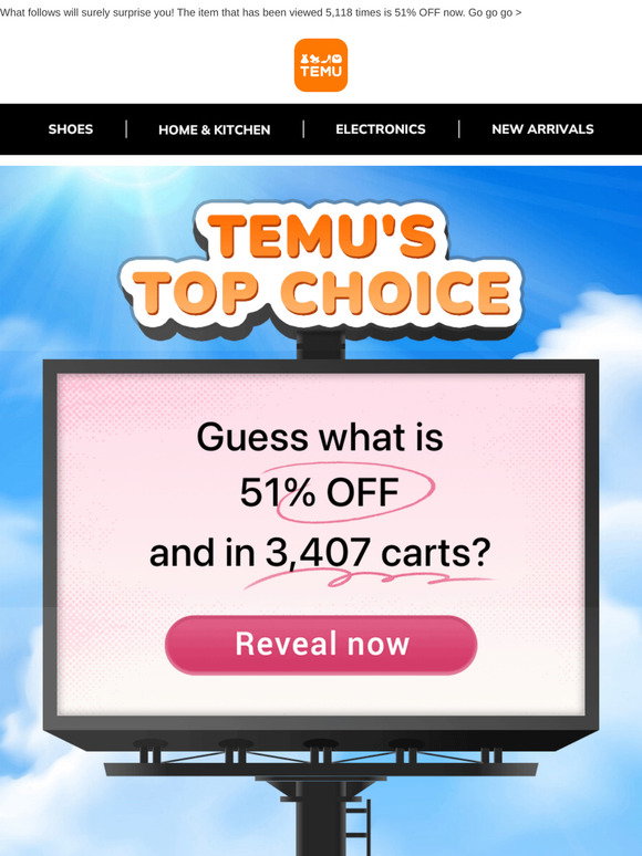 Temu: [On May 20, 2025, you got an offer] | Milled