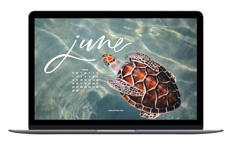 The Everygirl: free june tech backgrounds are here! 💗 | Milled