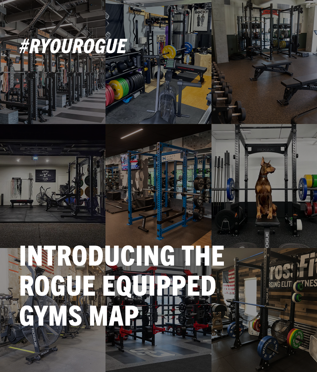 Rogue Fitness: Introducing The Rogue Equipped Gyms Map | Milled