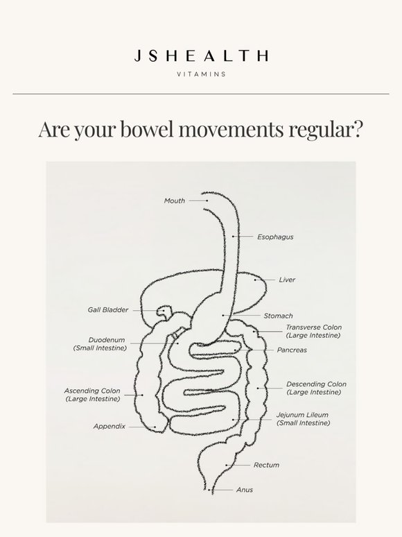 JSHealth Vitamins: Are your bowel movements regular? | Milled