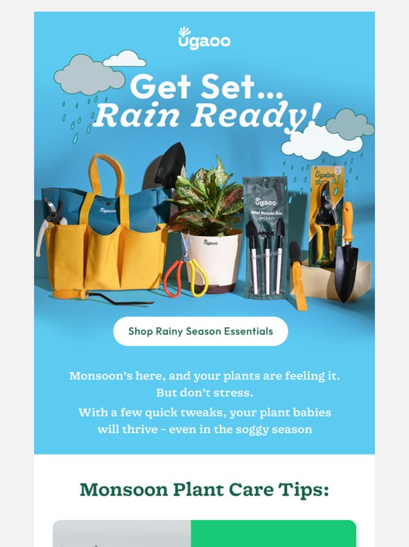 Ugaoo: ☔️ Monsoon Ready? Plant Care Tips Inside!🪴 | Milled