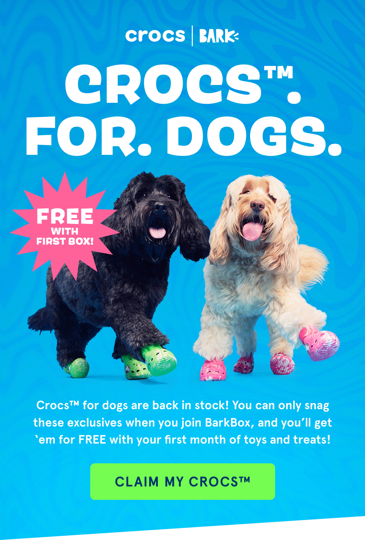 BarkBox: FREE Crocs with your box?! Back in stock 😱 | Milled