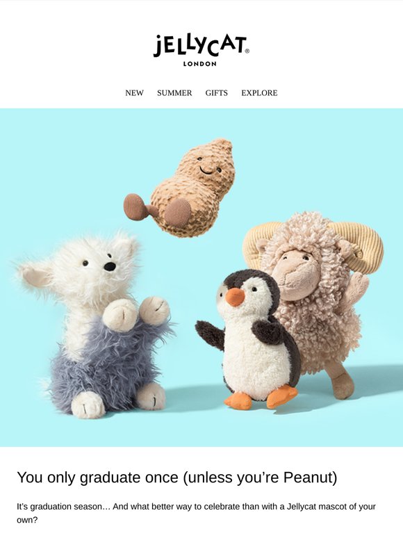 Jellycat US: Celebrate graduation with Jellycat | Milled